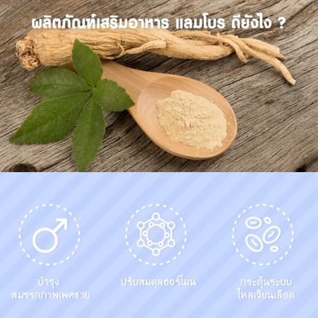 Lambor บรรจุ 2 แคปซูล