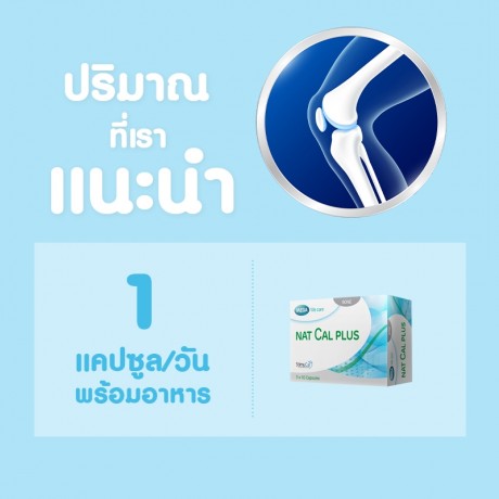 Mega We Care Nat Cal Plus บรรจุ 30 แคปซูล