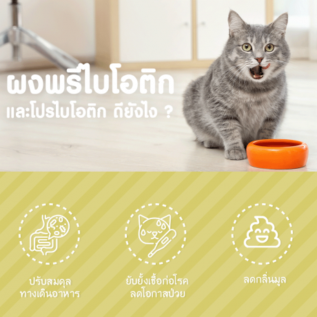Pawly Pro Plus Cat Synbiotic บรรจุ 12 ซอง