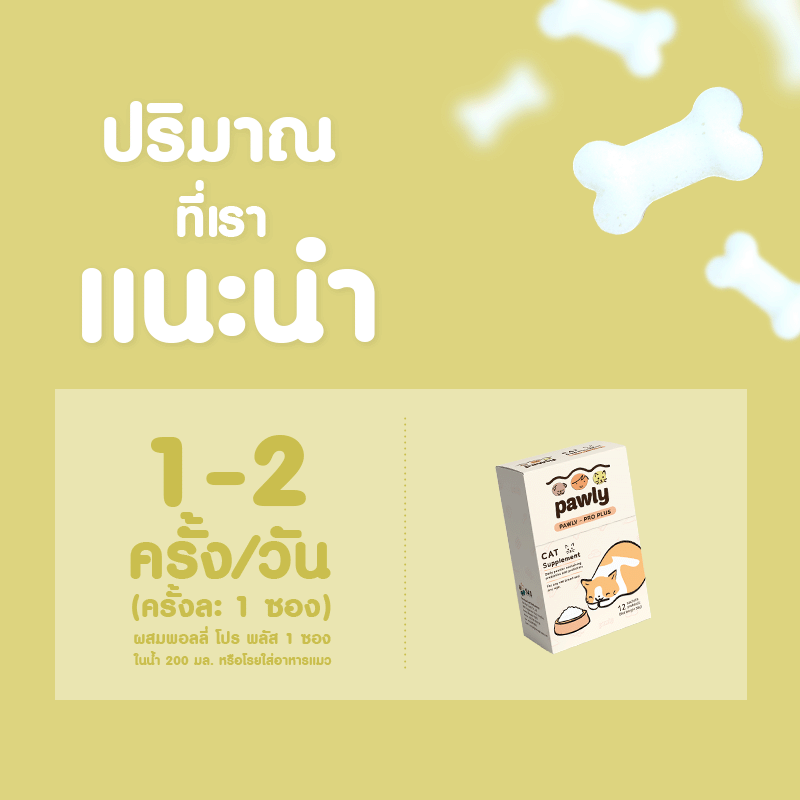 Pawly Pro Plus Cat Synbiotic บรรจุ 12 ซอง