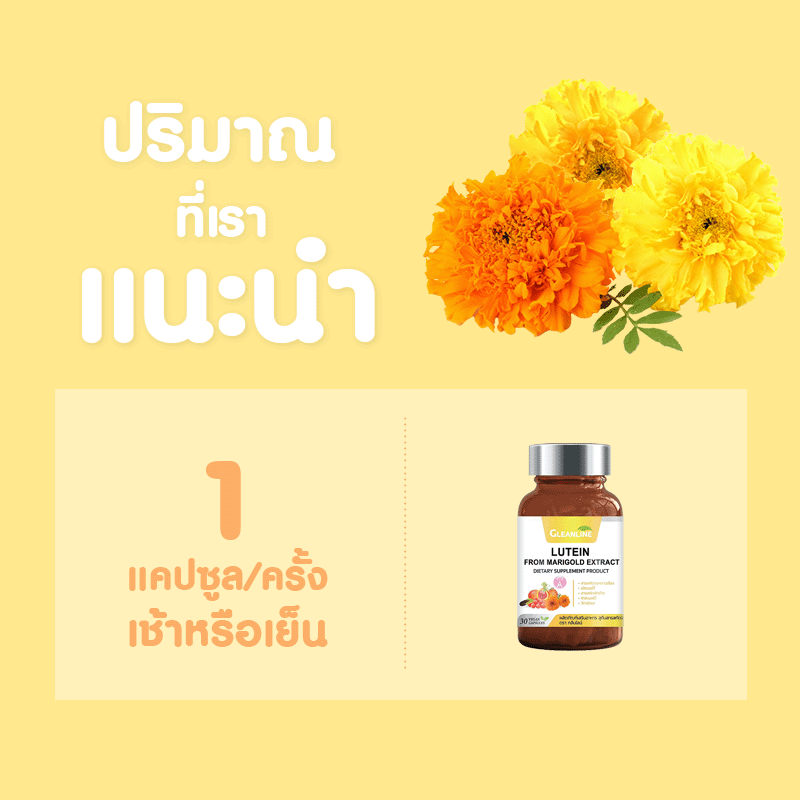 Gleanline Lutein From Marigold Extract บรรจุ 30 แคปซูล