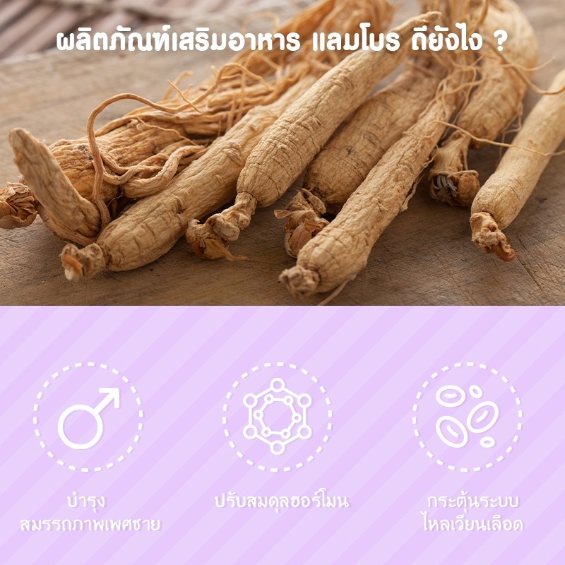 Lambor บรรจุ 10 แคปซูล