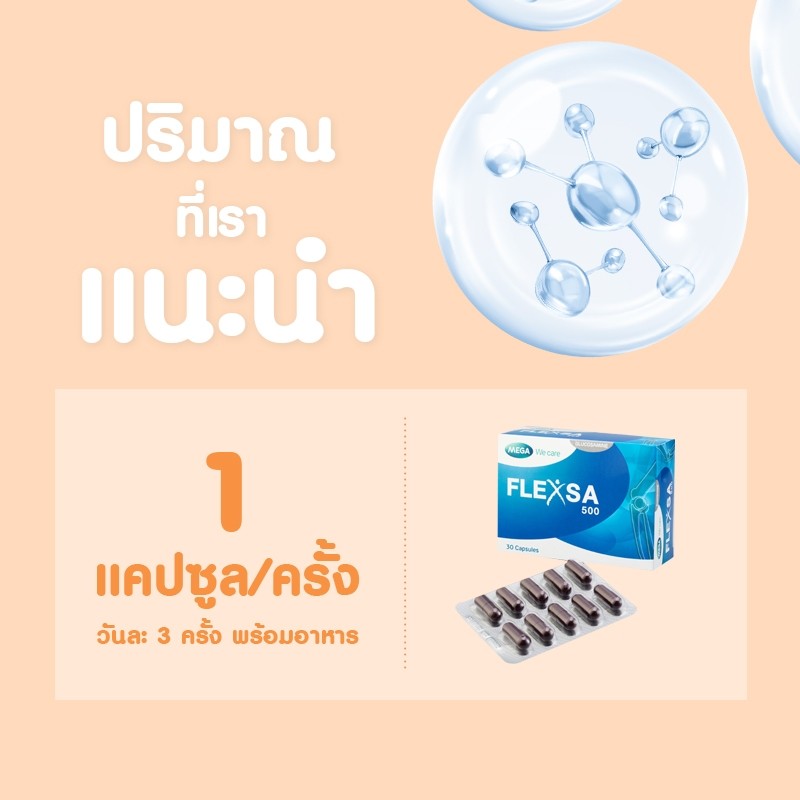 Mega We Care Flexsa 500 บรรจุ 30 แคปซูล