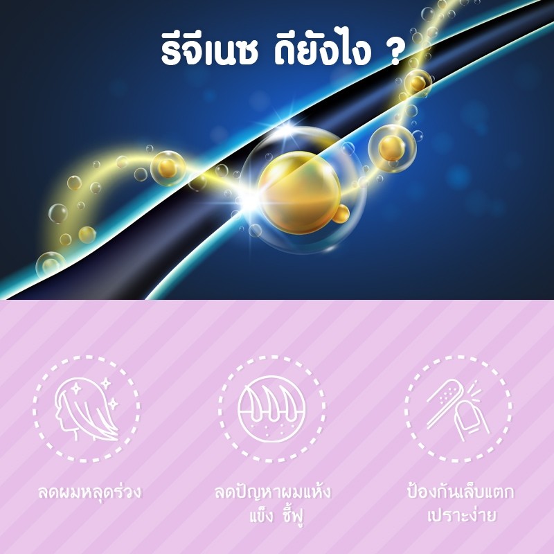 Mega We Care Regenez 30 capsule | เมก้า วี แคร์ รีจีเนส 30 แคปซูล