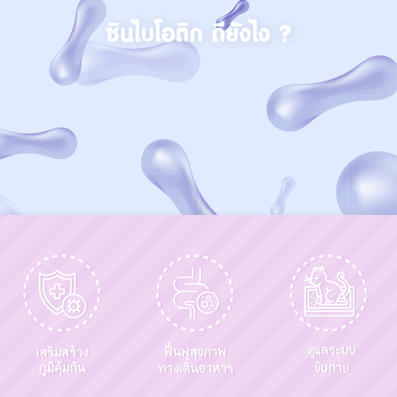 Pawly Cappa Synbiotic สำหรับแมว บรรจุ 30 แคปซูล